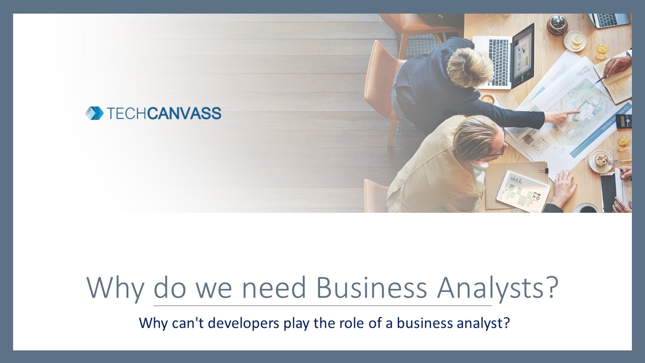 Why can't developer play the role of a business analyst | Techcanvass Blog