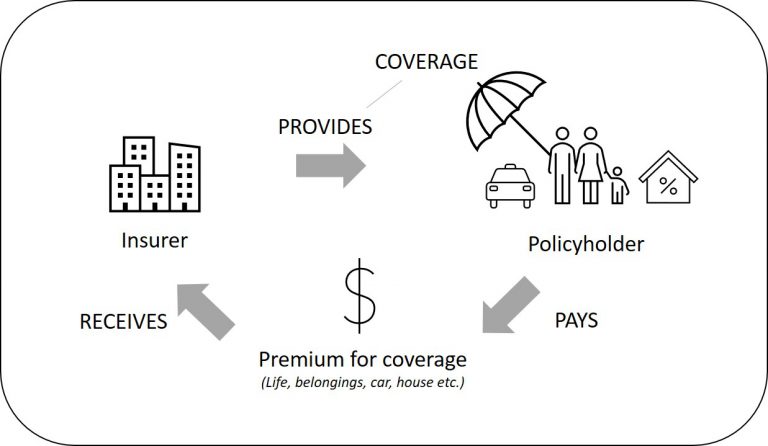 Insurance Domain Basics | Insurance Domain Knowledge | Techcanvass