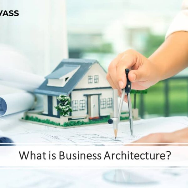 What Is BACCM Model (Business Analysis Core Concepts )? | Techcanvass