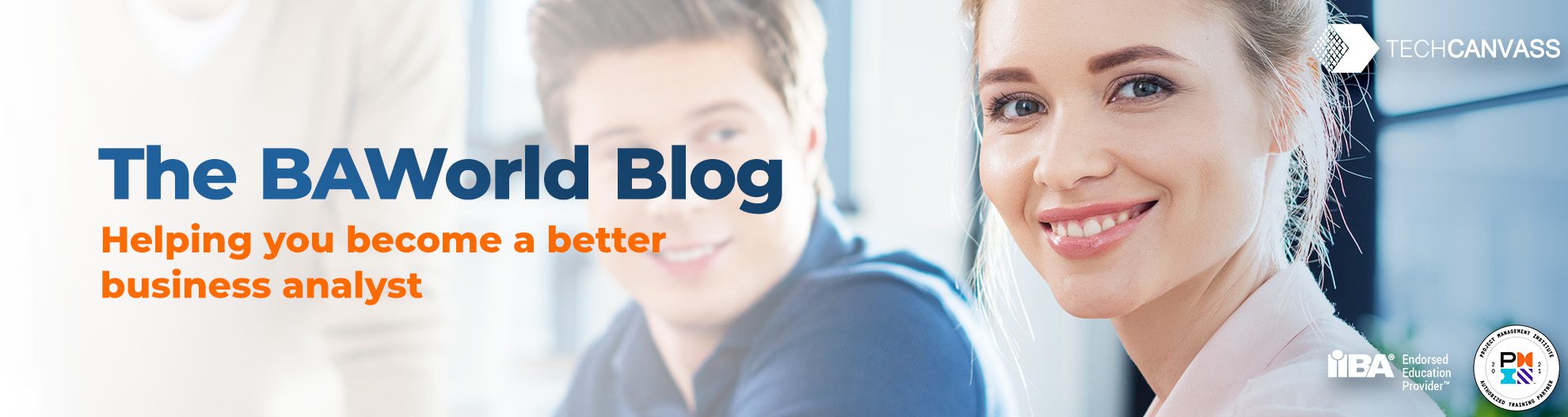 CBAP Sample Questions - With answers & explanations | Techcanvass