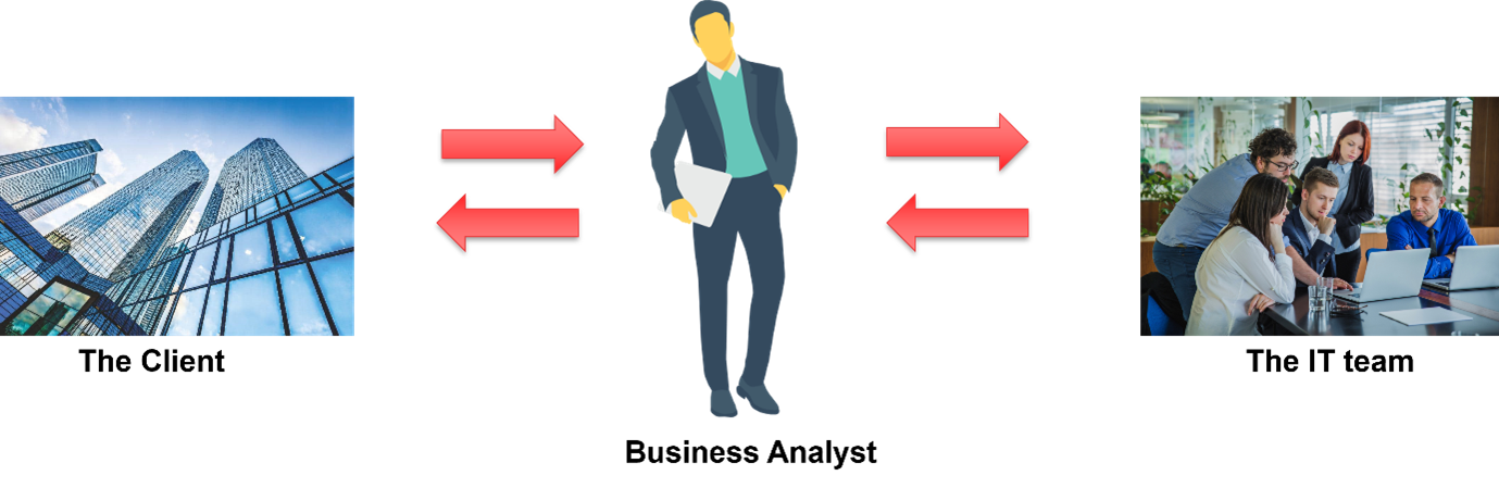 How To Become A Business Analyst In 2025? And What They Do?